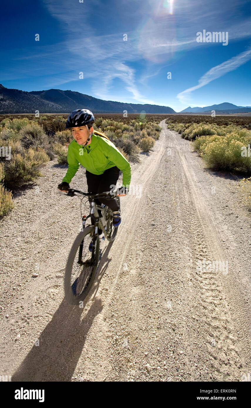 Attractive woman riding her mountain bike Stock Photo - Alamy