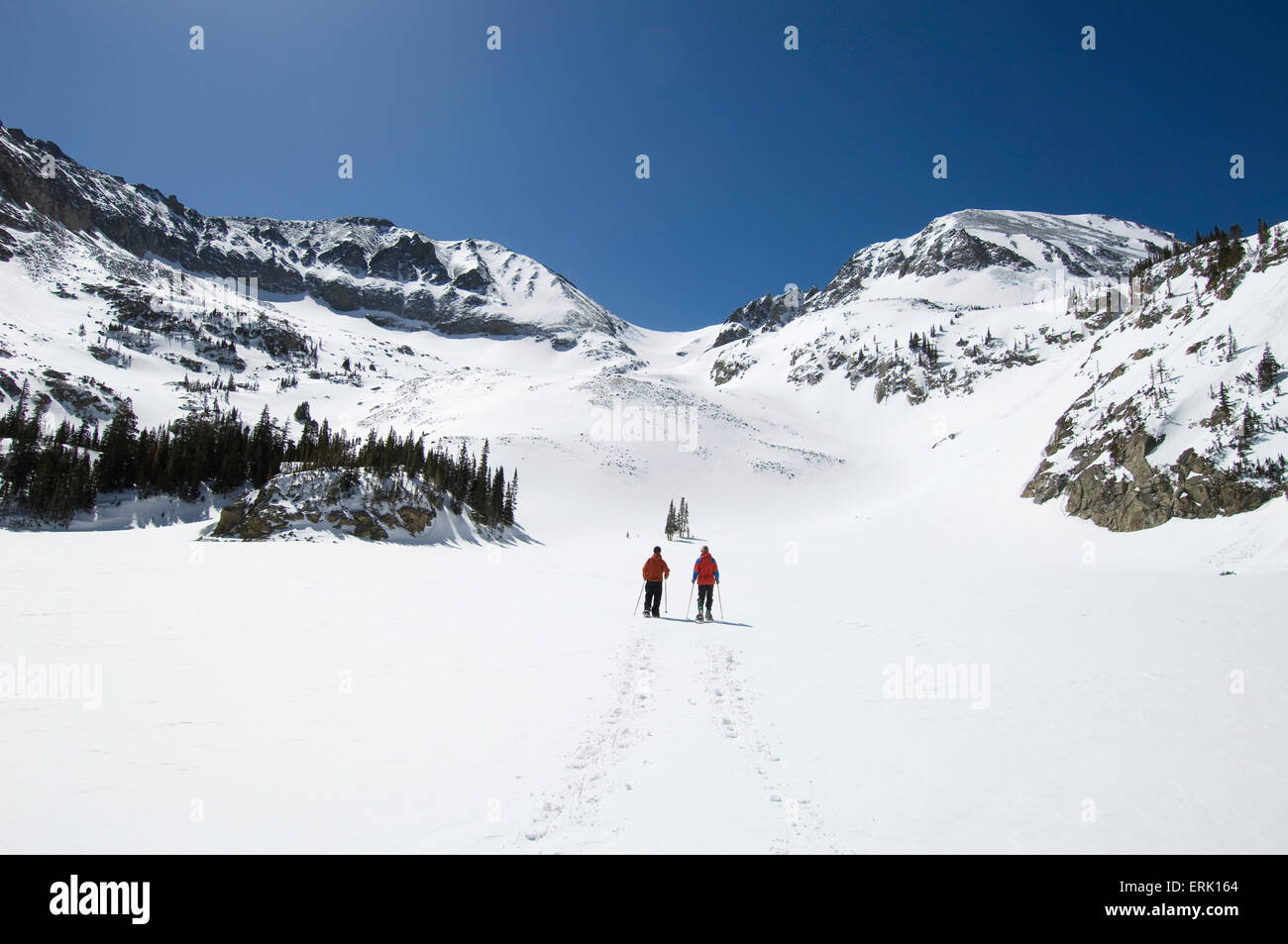 Two people snowshoeing on Cameron Pass, Colorado Stock Photo - Alamy
