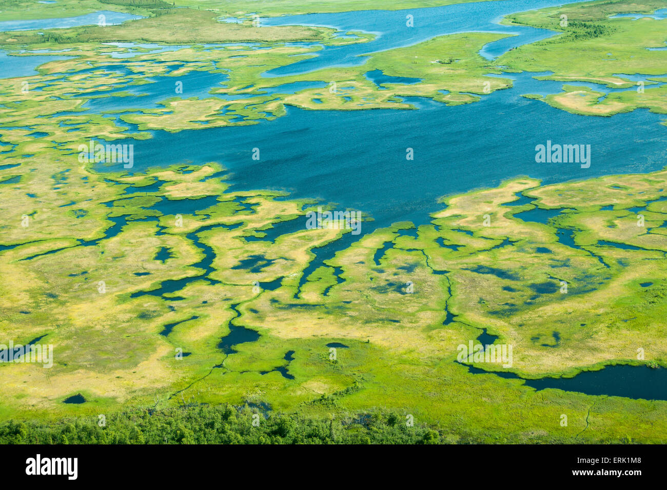 Aerial view of the wetlands adjacent to the kuskokwim River, spring ...