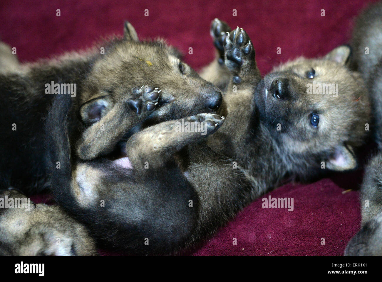 Kempfeld hi-res stock photography and images - Alamy