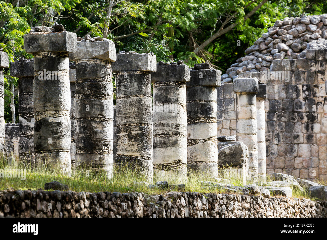 A series of Ancient Mayan stone columns with trees in the background ...