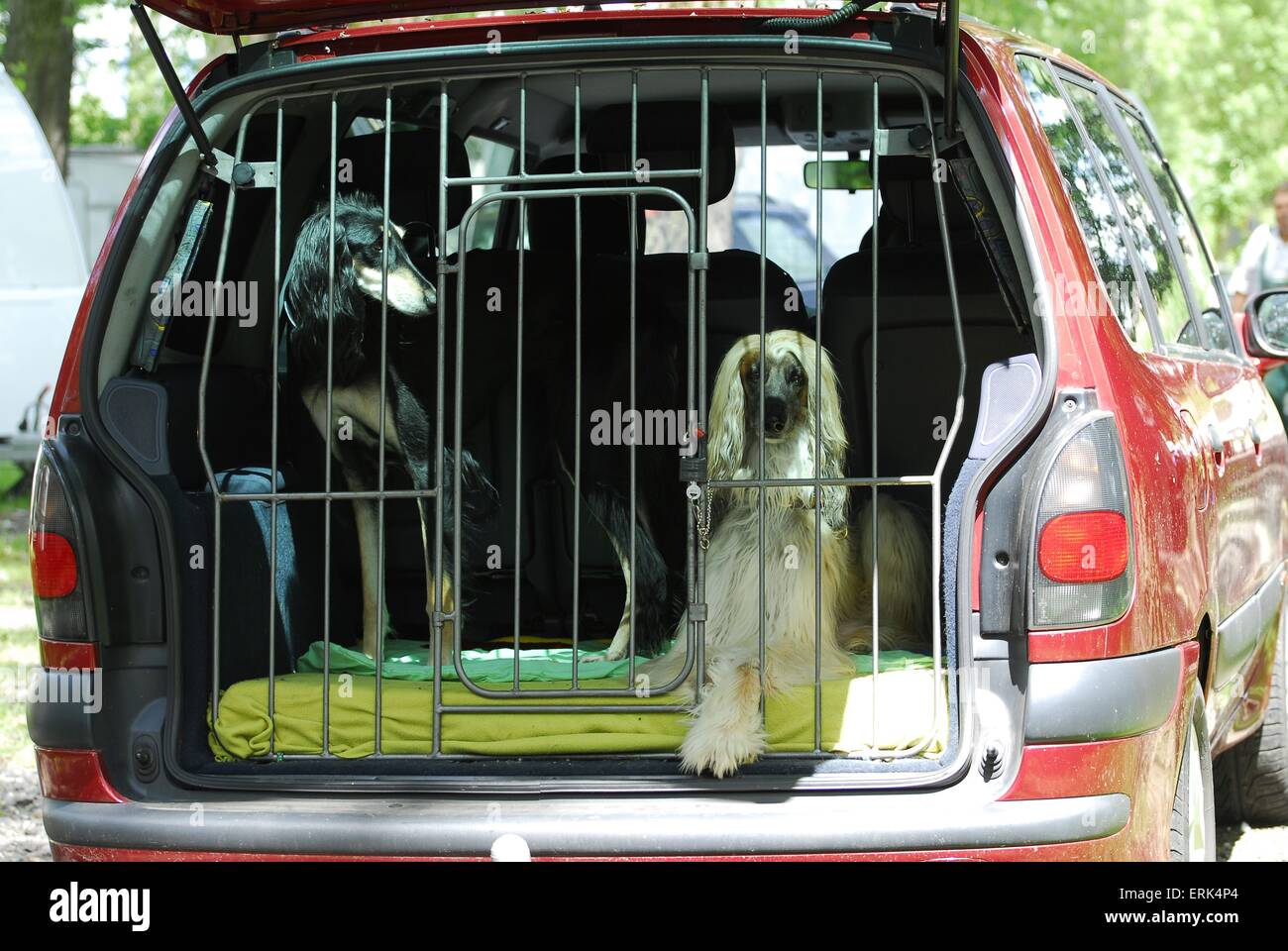 Afghan transport hi-res stock photography and images - Alamy