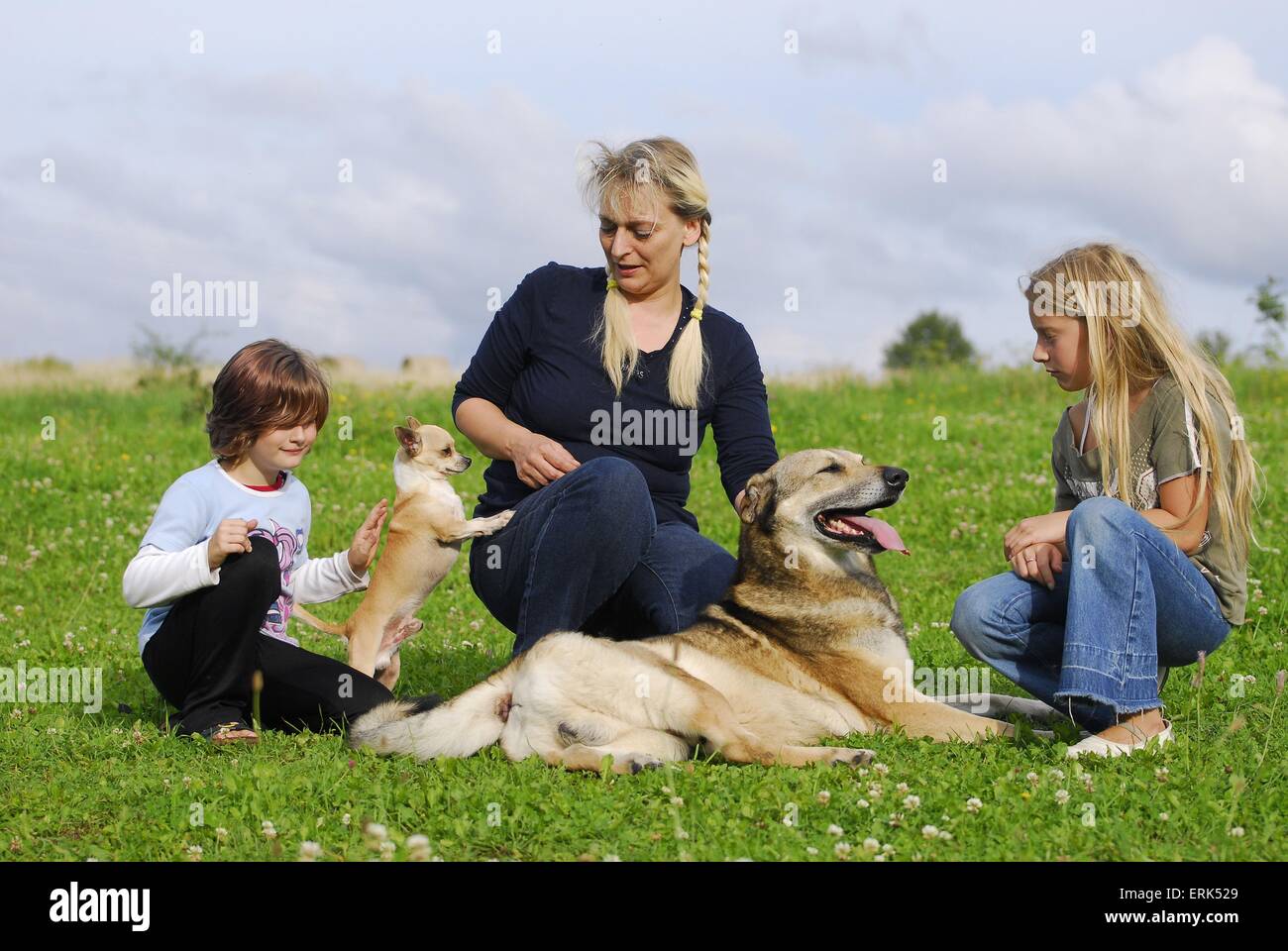 family with dogs Stock Photo - Alamy