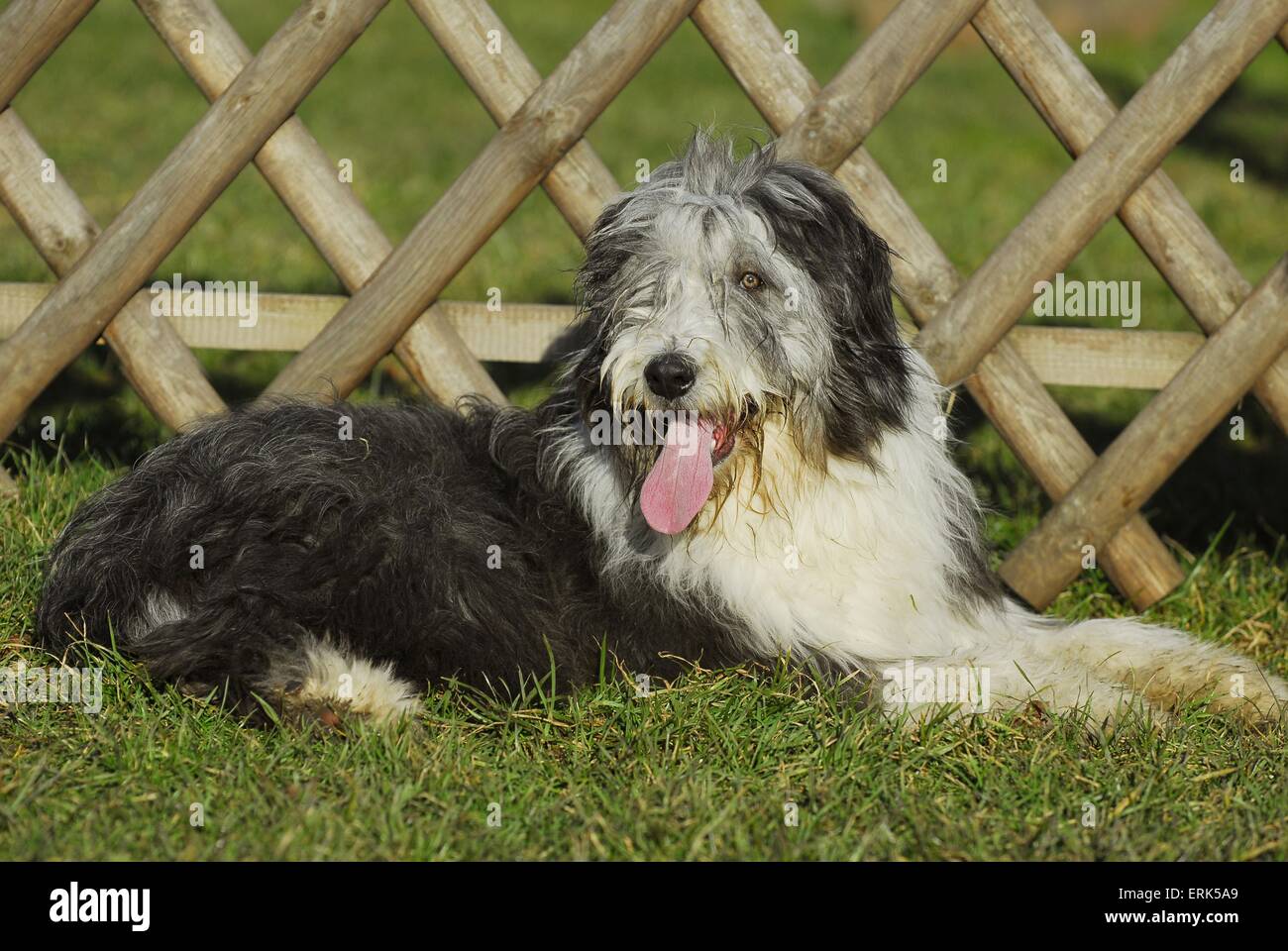 Side view young bearded hi-res stock photography and images - Alamy