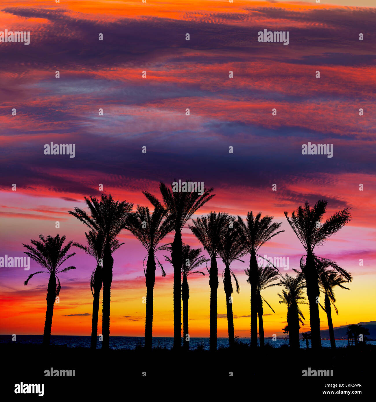 Orange trees almeria andalucia spain hi-res stock photography and ...