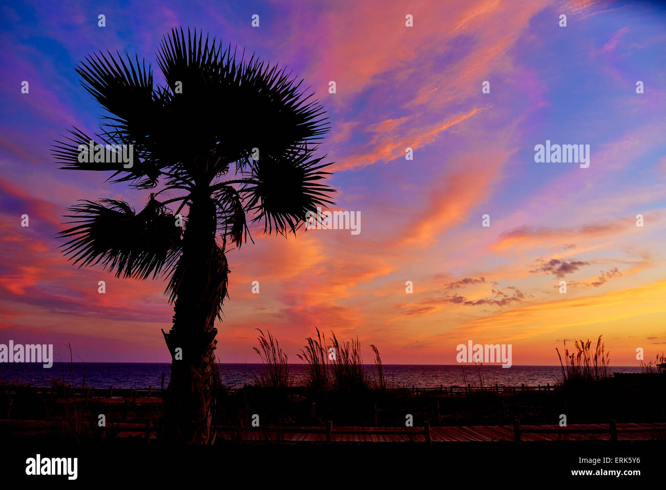 Almeria Cabo de Gata sunset pam trees in Retamar beach at Spain Stock ...