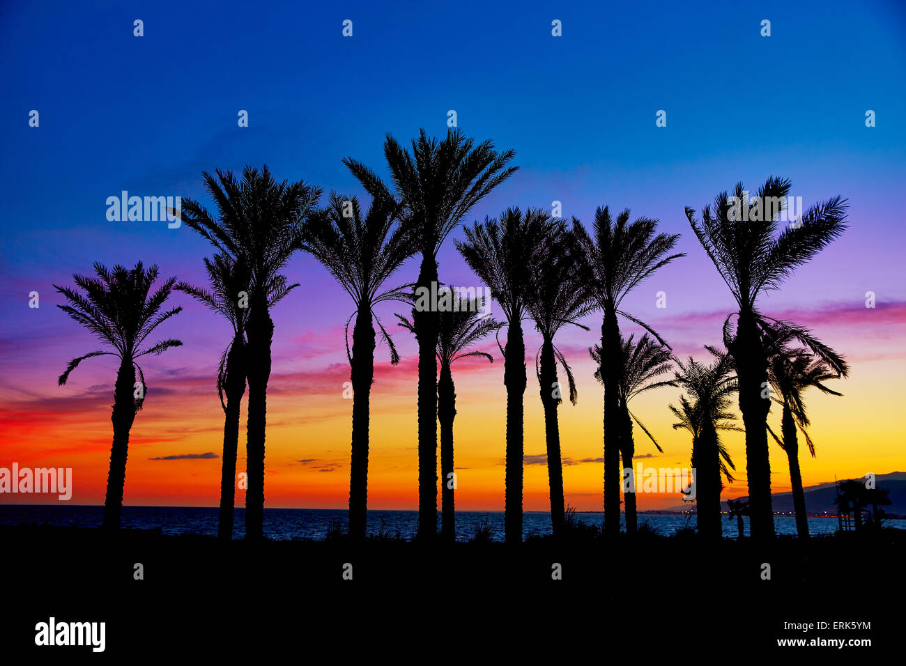 Almeria Cabo de Gata sunset pam trees in Retamar beach at Spain Stock ...