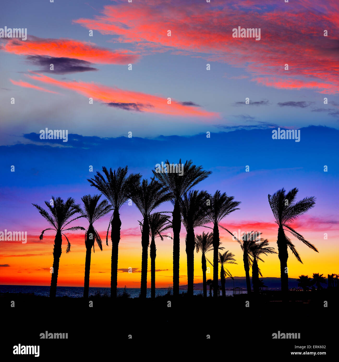 Almeria Cabo de Gata sunset pam trees in Retamar beach at Spain Stock ...