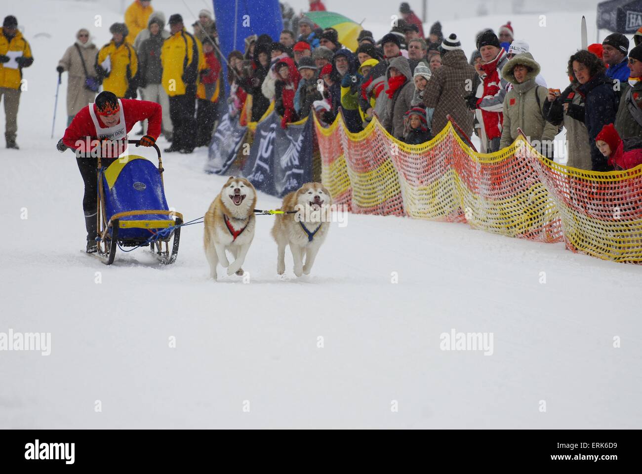 Sport dog sled racing action animals hi-res stock photography and ...