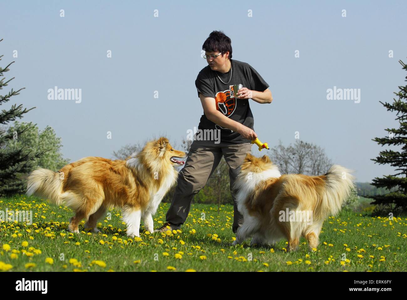 Two dogs playing rough hi-res stock photography and images - Alamy