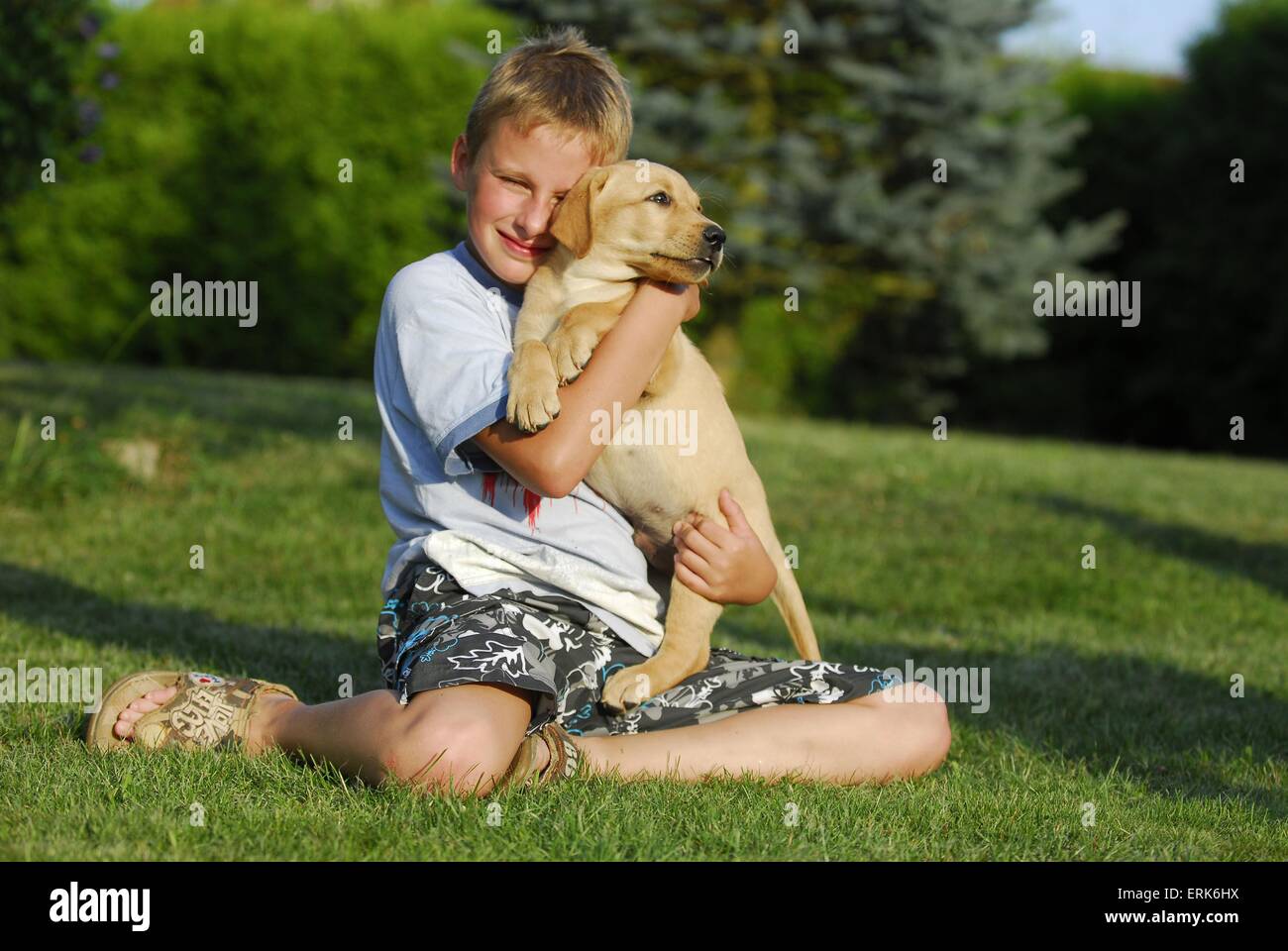 boy with labrador retriever puppy Stock Photo - Alamy