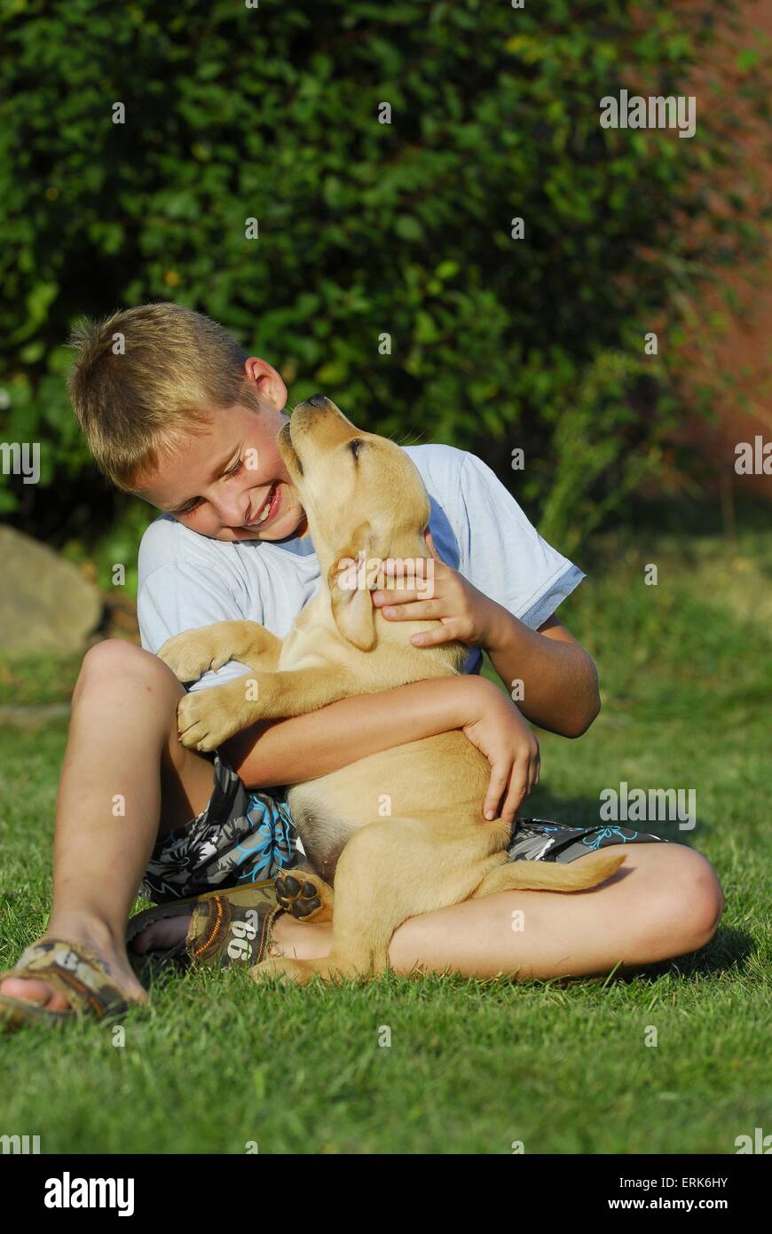Labrador dog and baby boy hi-res stock photography and images - Alamy