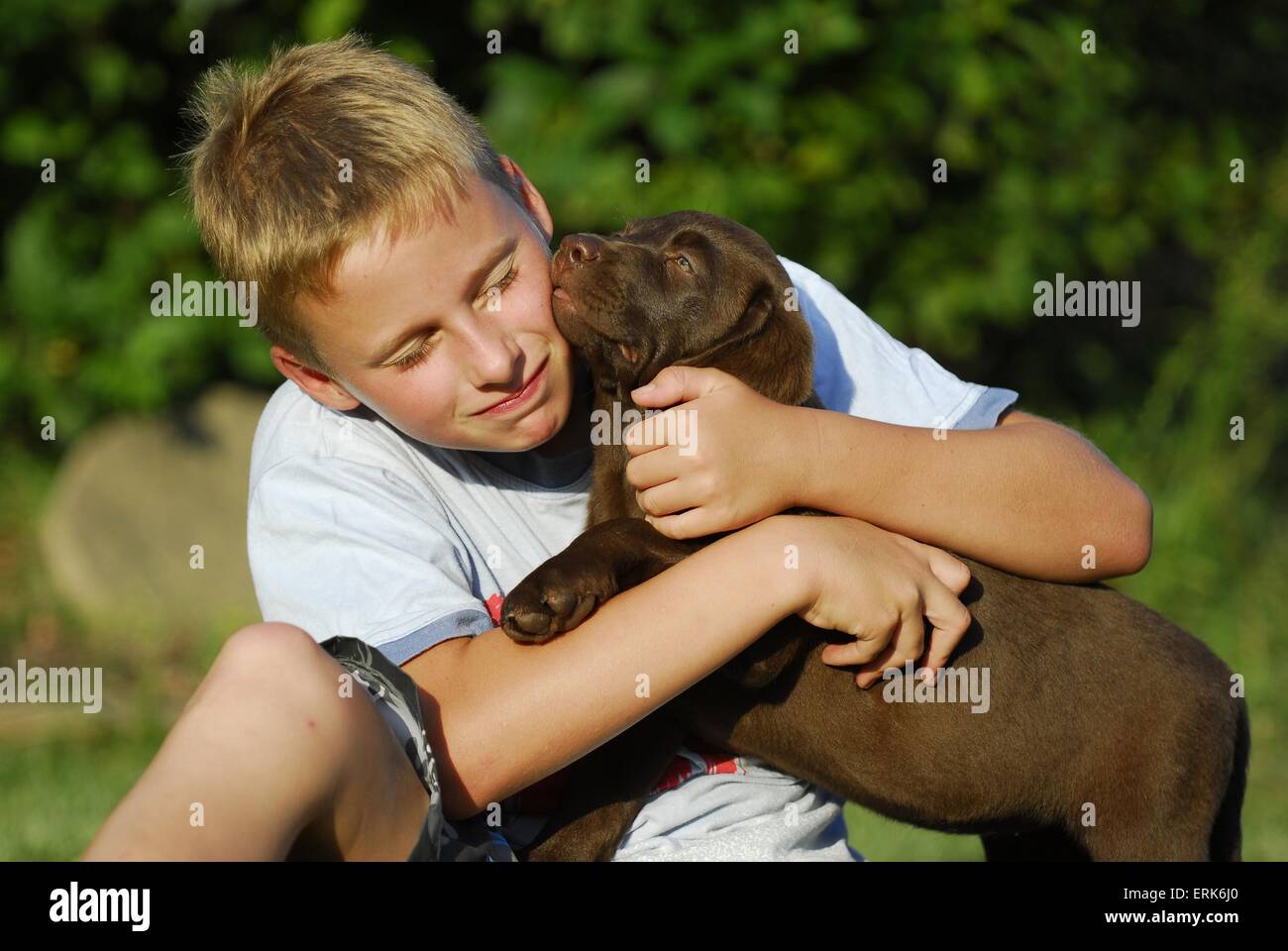 boy with labrador retriever puppy Stock Photo - Alamy