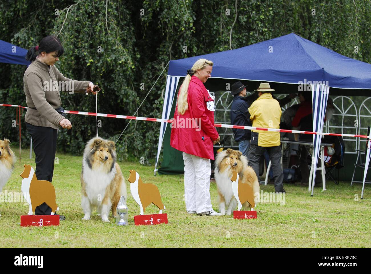 Show adult hi-res stock photography and images - Alamy