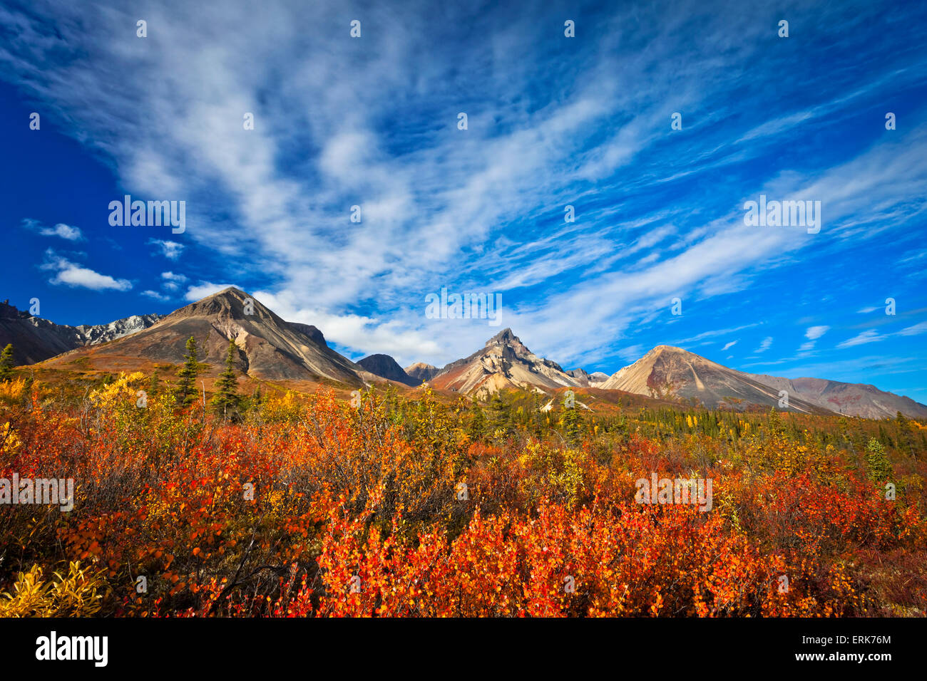 Skookum Volcano with fall colors under blue sky, Nabesna Road, Wrangell ...