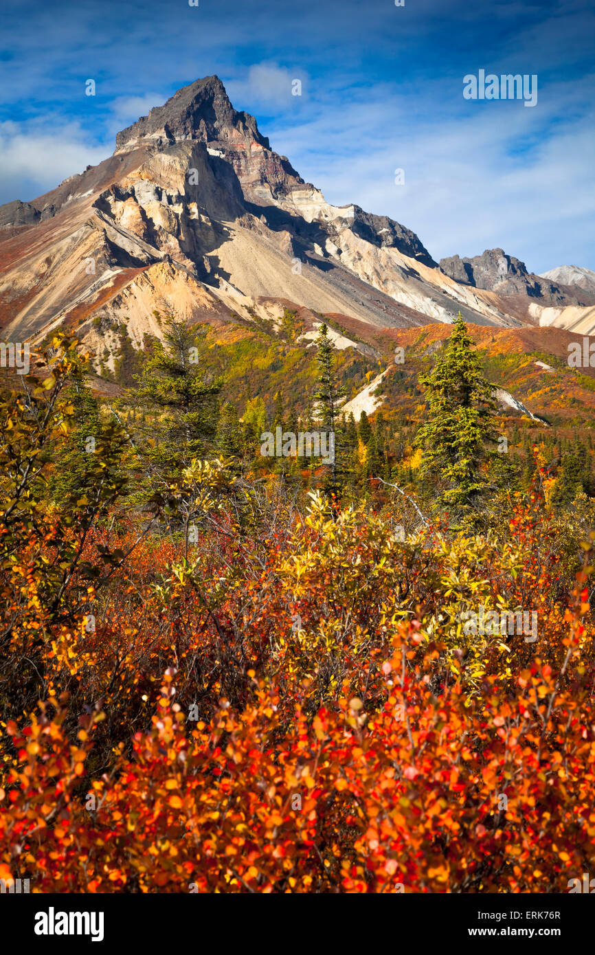 Skookum Volcano with fall colors under blue sky, Nabesna Road, Wrangell ...