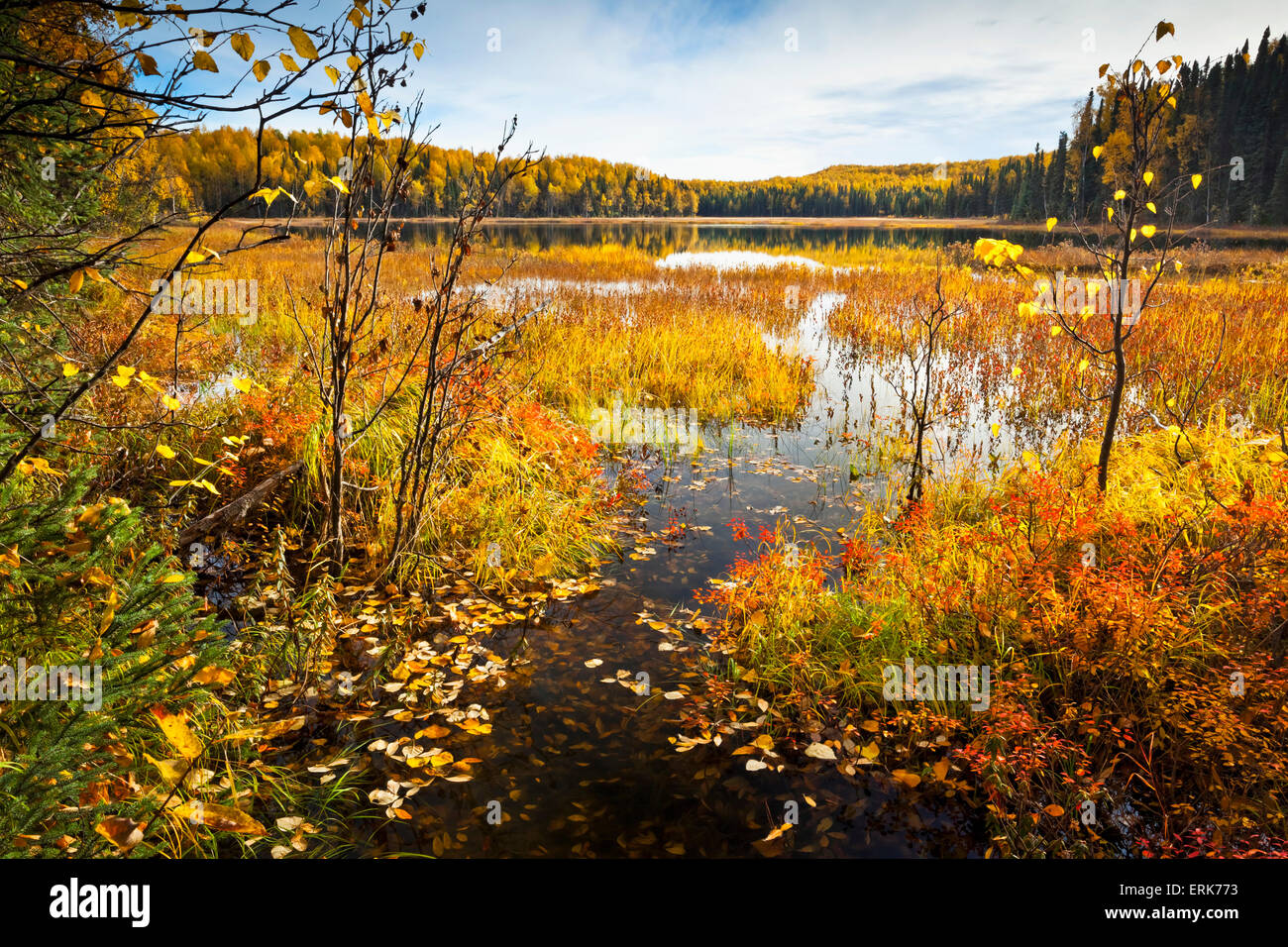 Fall foliage at Nancy Lake, Nancy Lake State Recreation Area ...