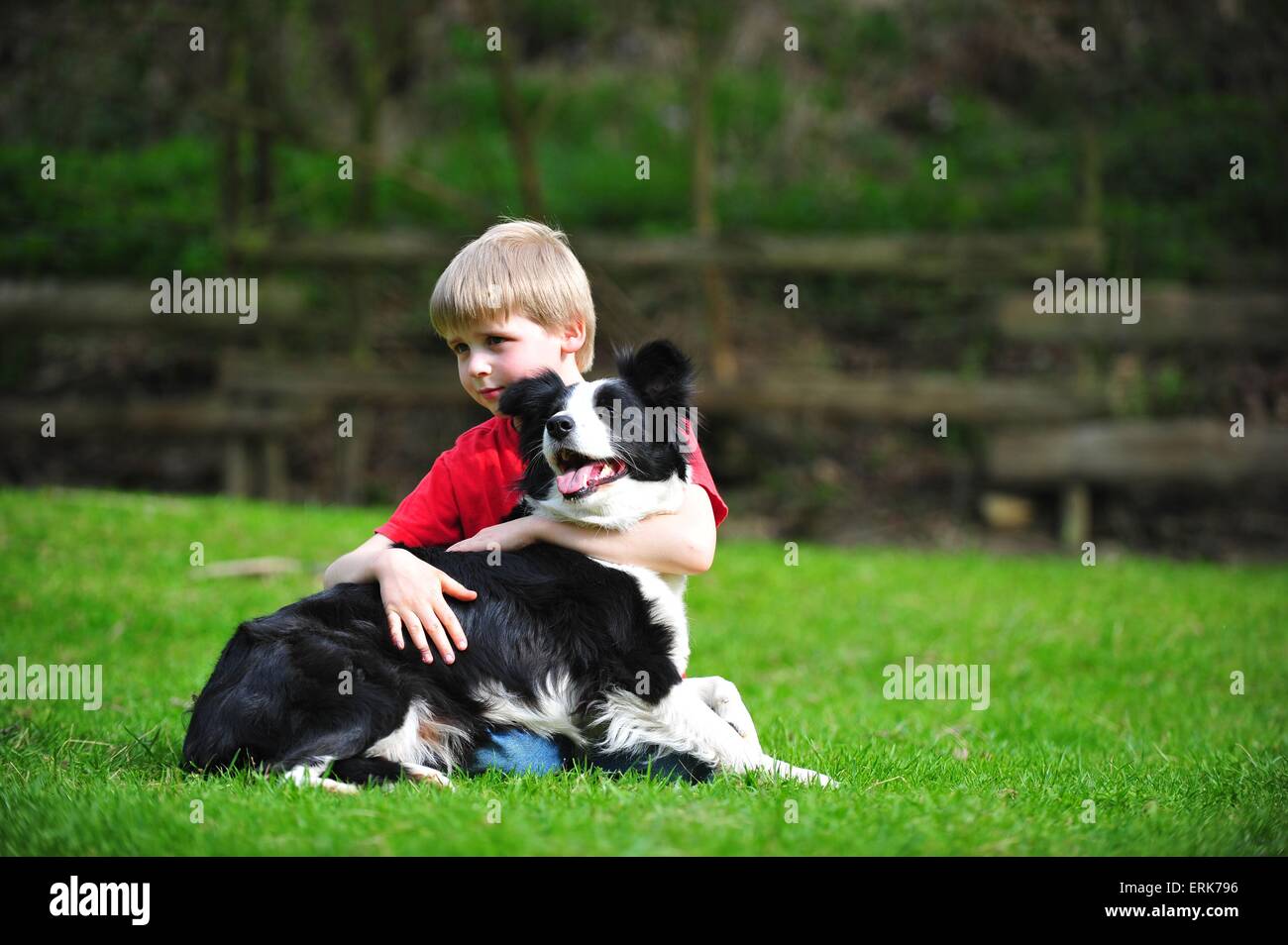boy with Border Collie Stock Photo - Alamy