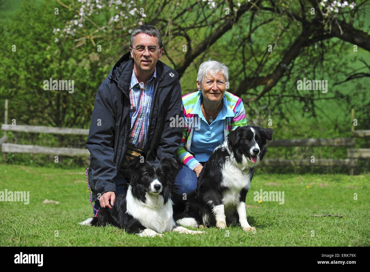 people with Border Collies Stock Photo - Alamy