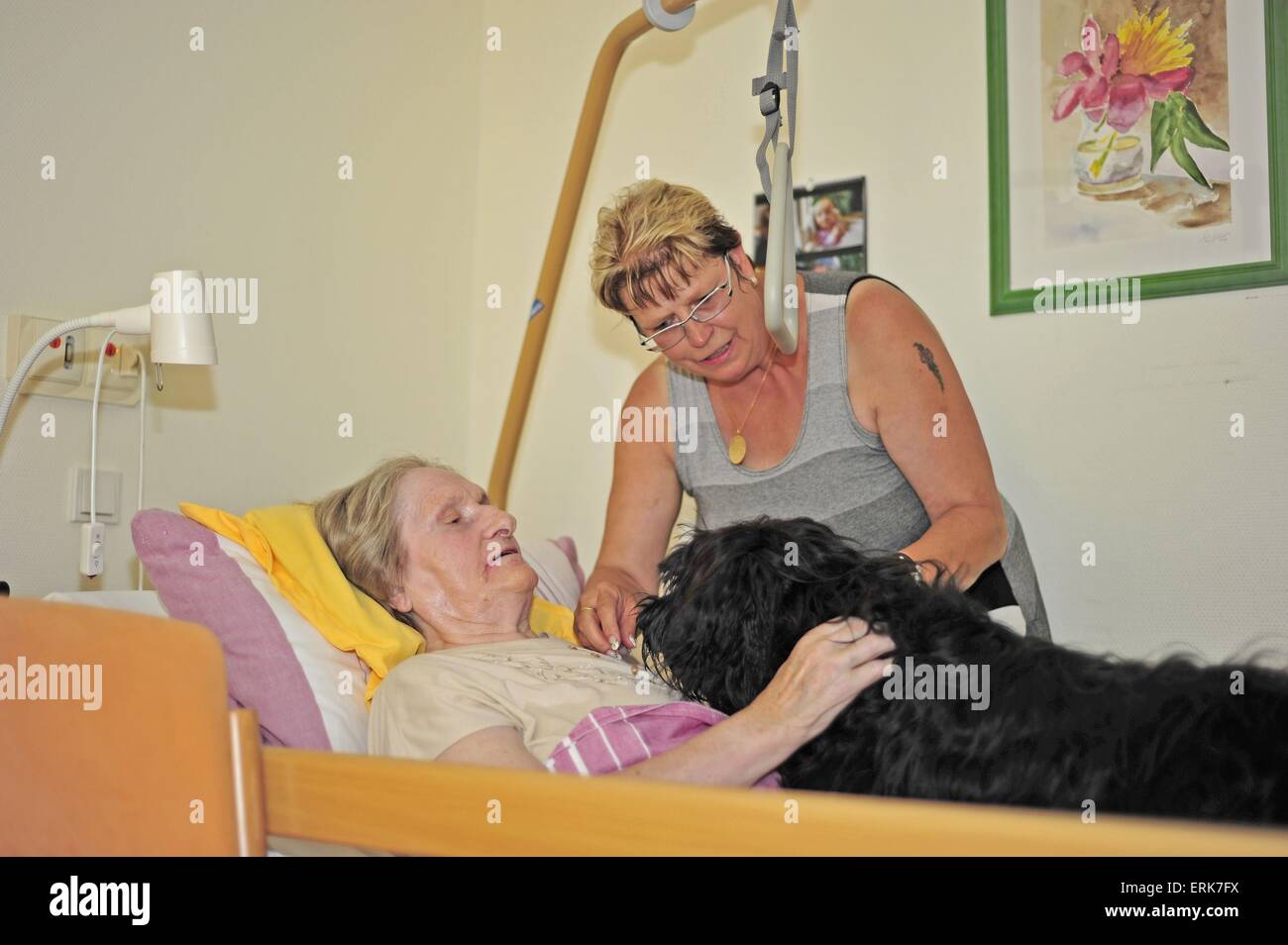 therapy dog at work Stock Photo - Alamy