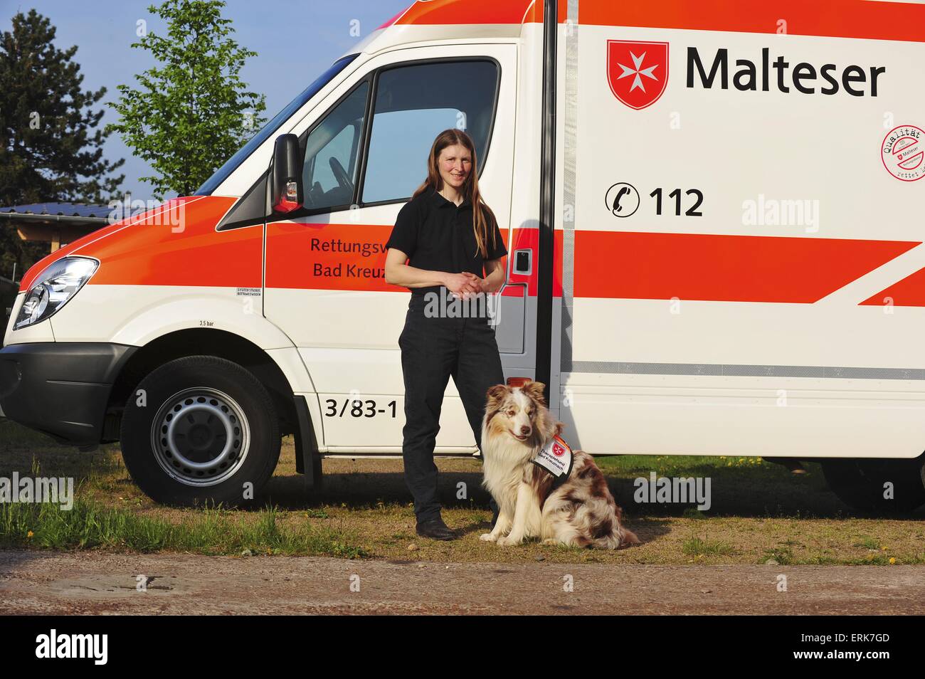 Dog rescuing human hi-res stock photography and images - Alamy