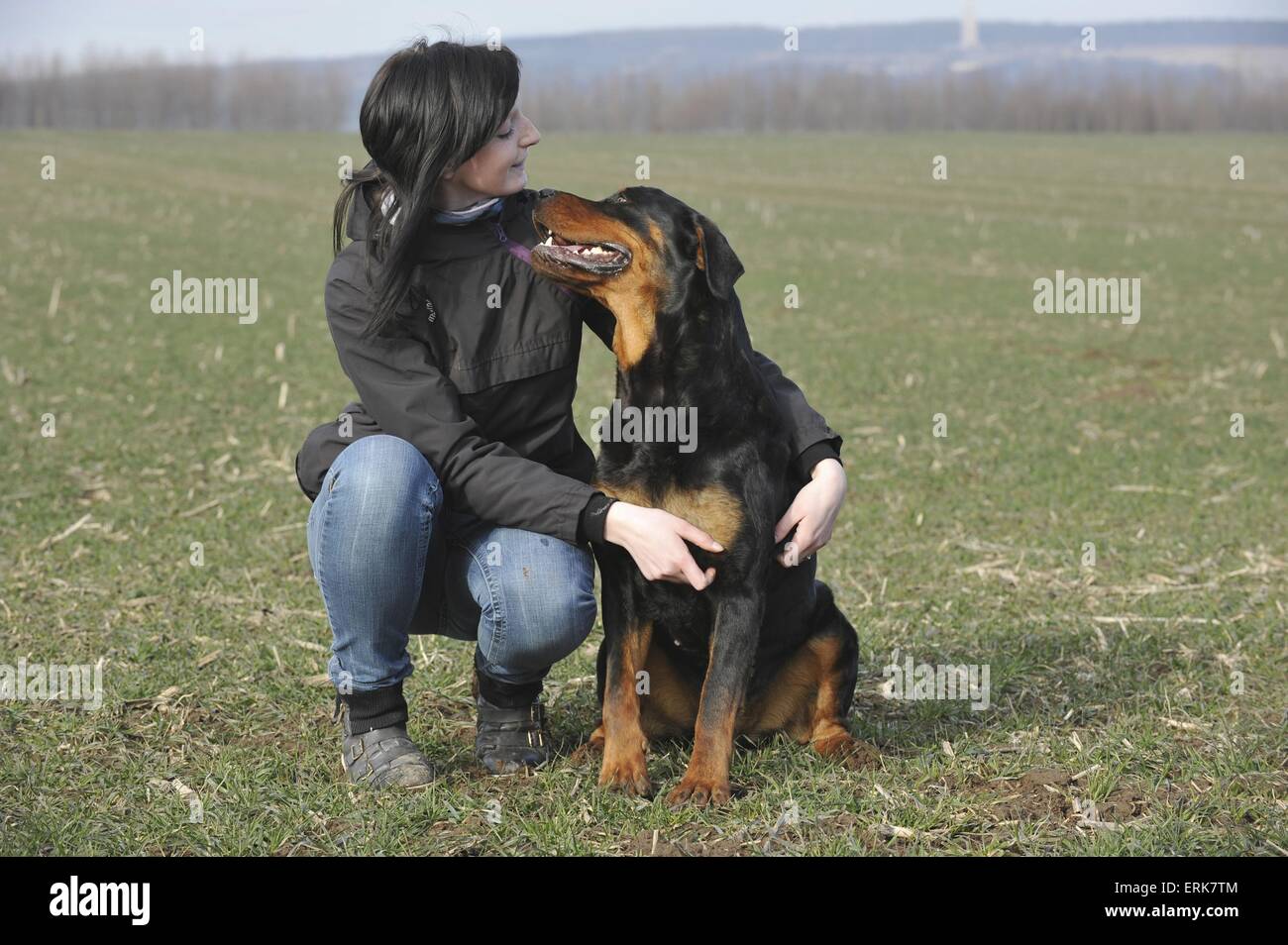 Female rottweiler hi-res stock photography and images - Alamy