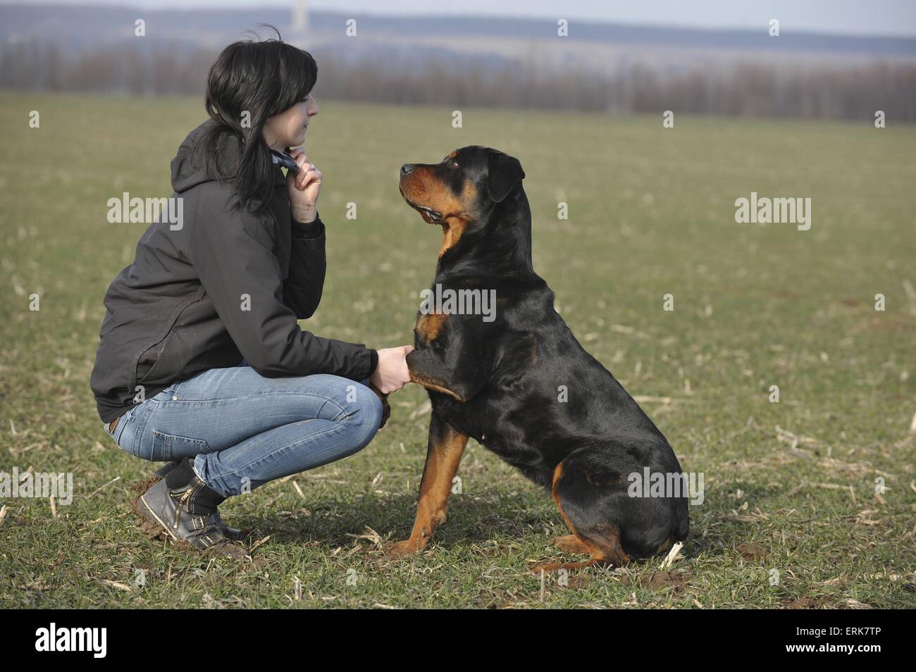 Female rottweiler hi-res stock photography and images - Alamy