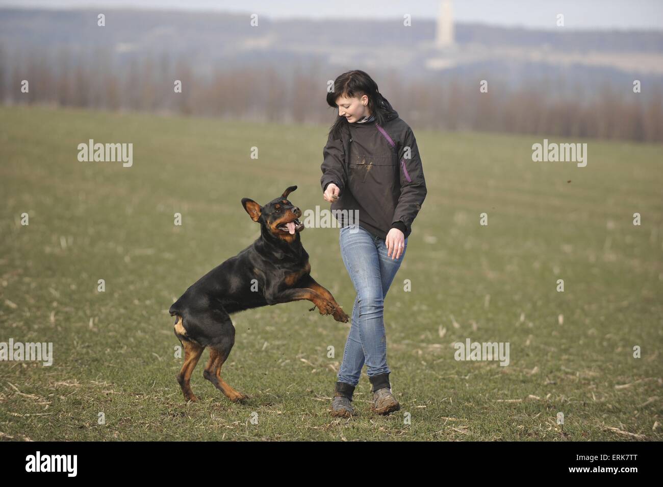 woman and Rottweiler Stock Photo - Alamy