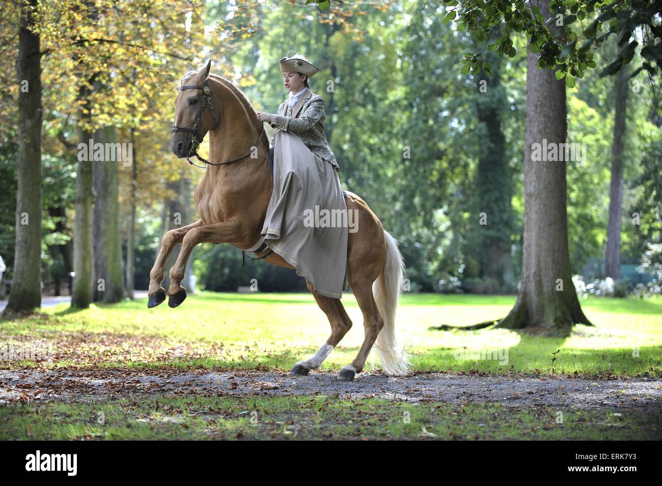 Pillion saddle horse hi-res stock photography and images - Alamy
