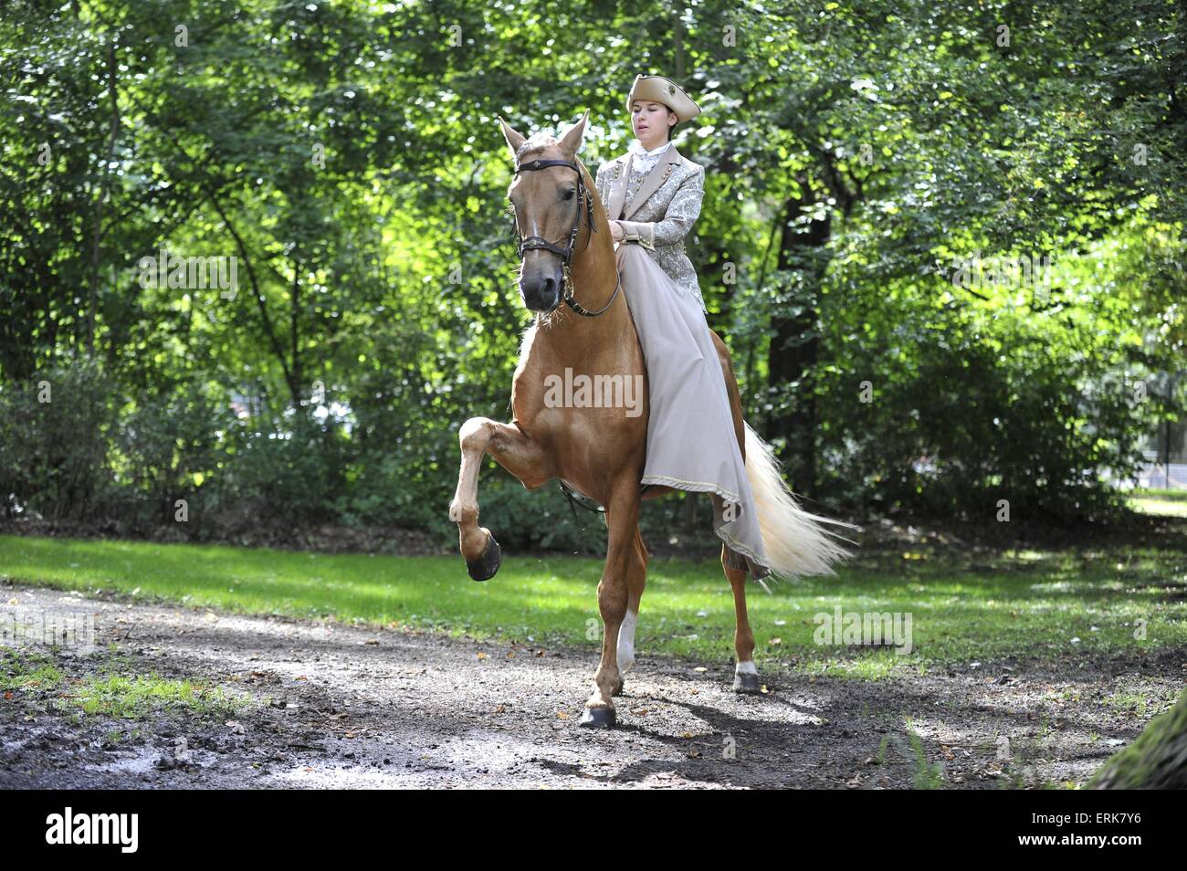Pillion saddle horse hi-res stock photography and images - Alamy