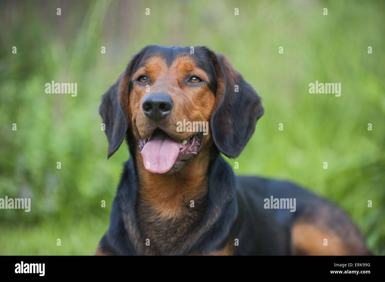 Tyrolean High Resolution Stock Photography and Images - Alamy