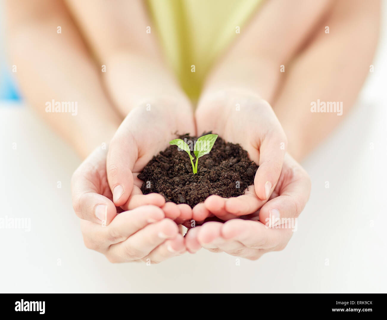 Hands Cupped Together High Resolution Stock Photography and Images - Alamy