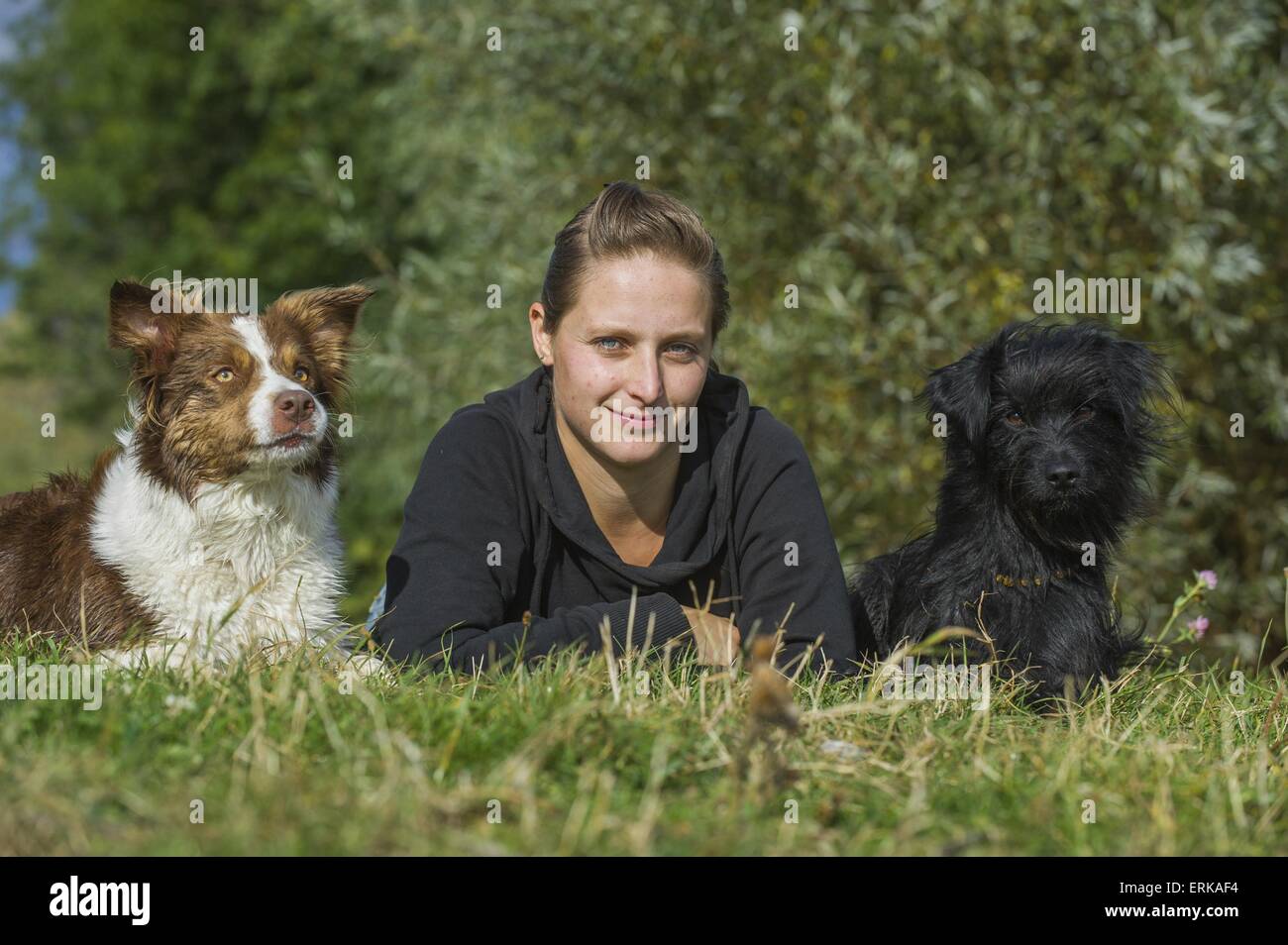 woman with 2 dogs Stock Photo - Alamy