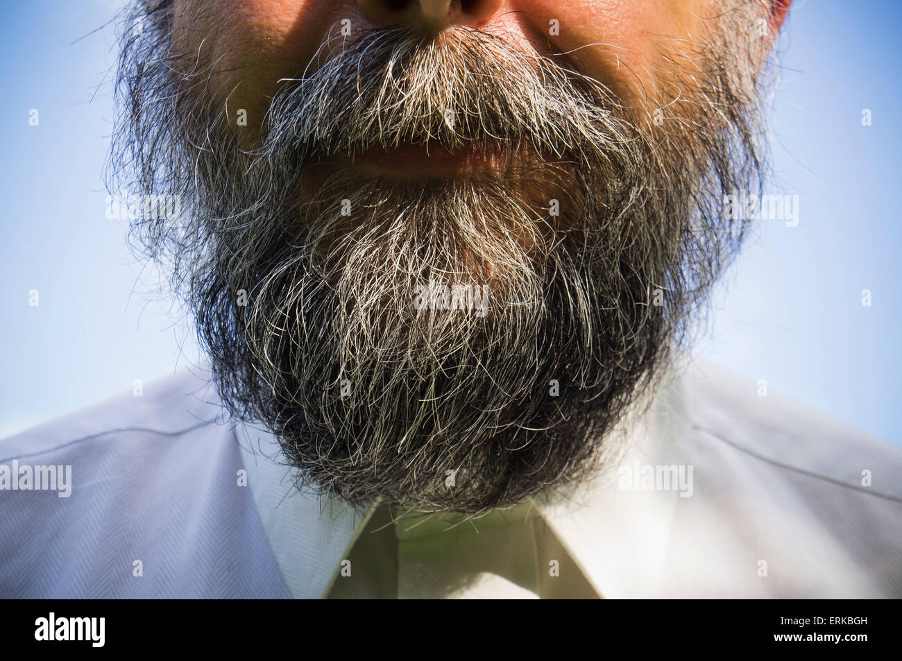 bearded man, beard, pepper-and-salt colour, white shirt Stock Photo - Alamy