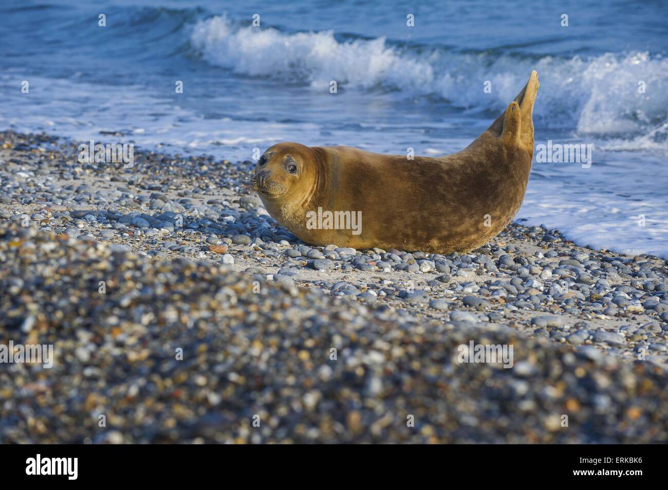 Bank seal hi-res stock photography and images - Alamy