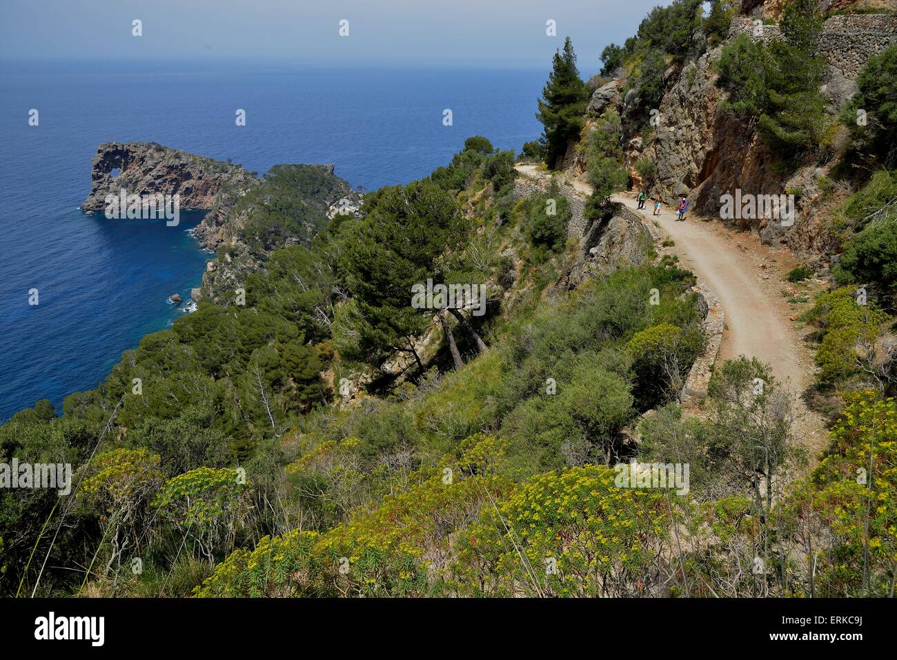 Sa Foradada peninsula with rock structure, between Deià and Valldemossa ...