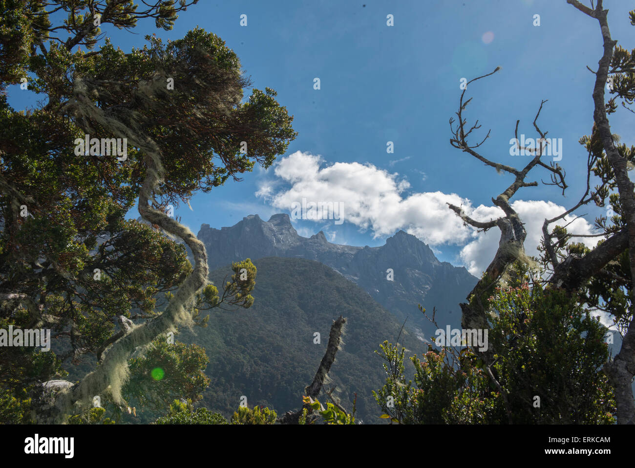 View of mountain peak among trees, Mount Kinabalu, Sabah, Borneo ...