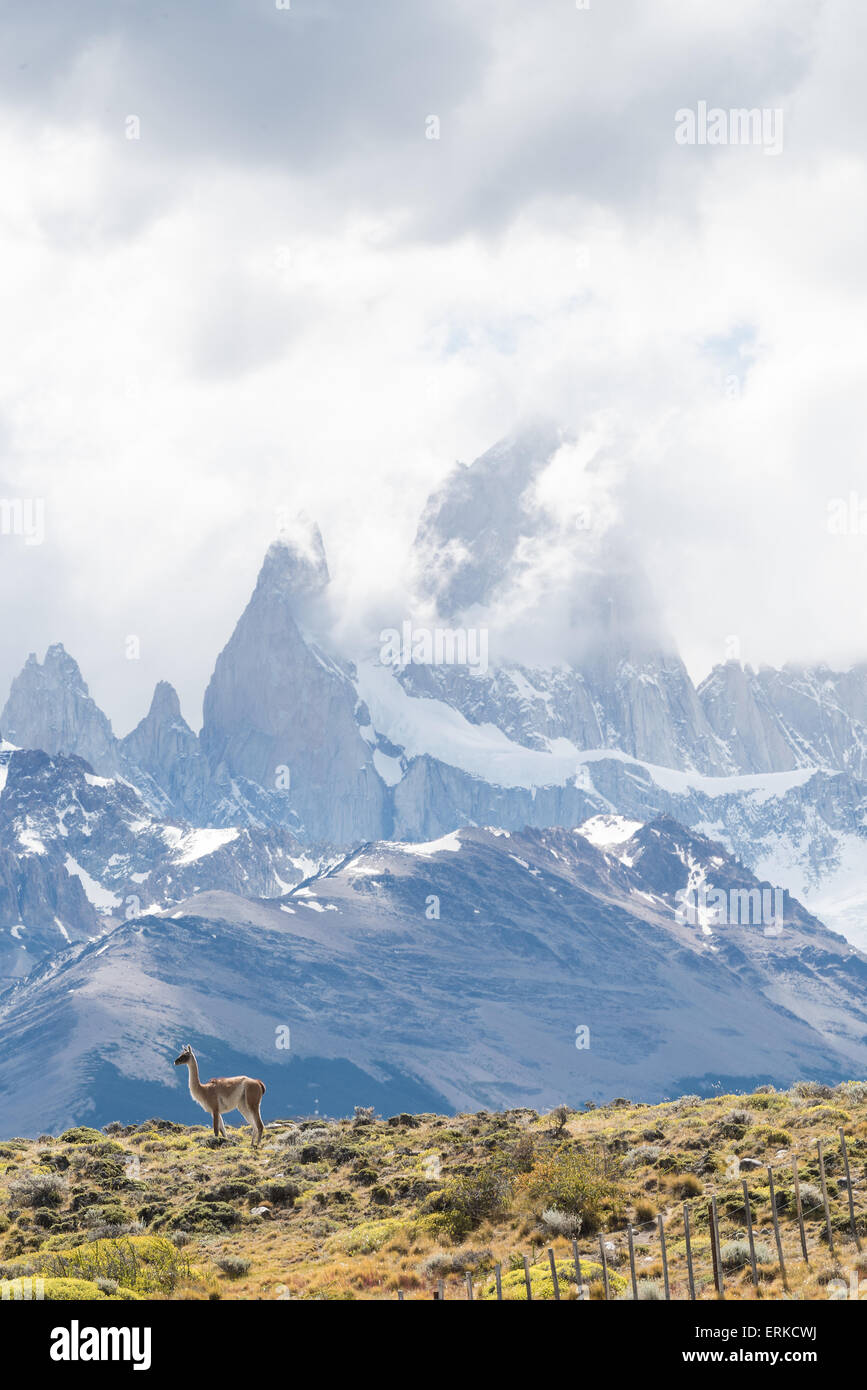 The Fitz Roy Massif from the Route 23 into El Chaitén, Santa Cruz ...