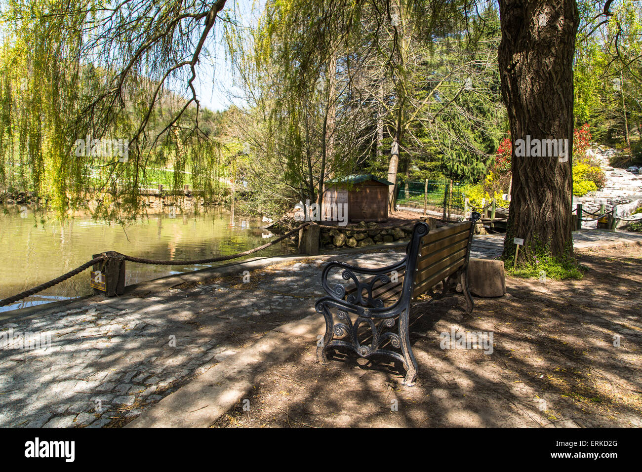 Bench sitting under willow tree hi-res stock photography and images - Alamy