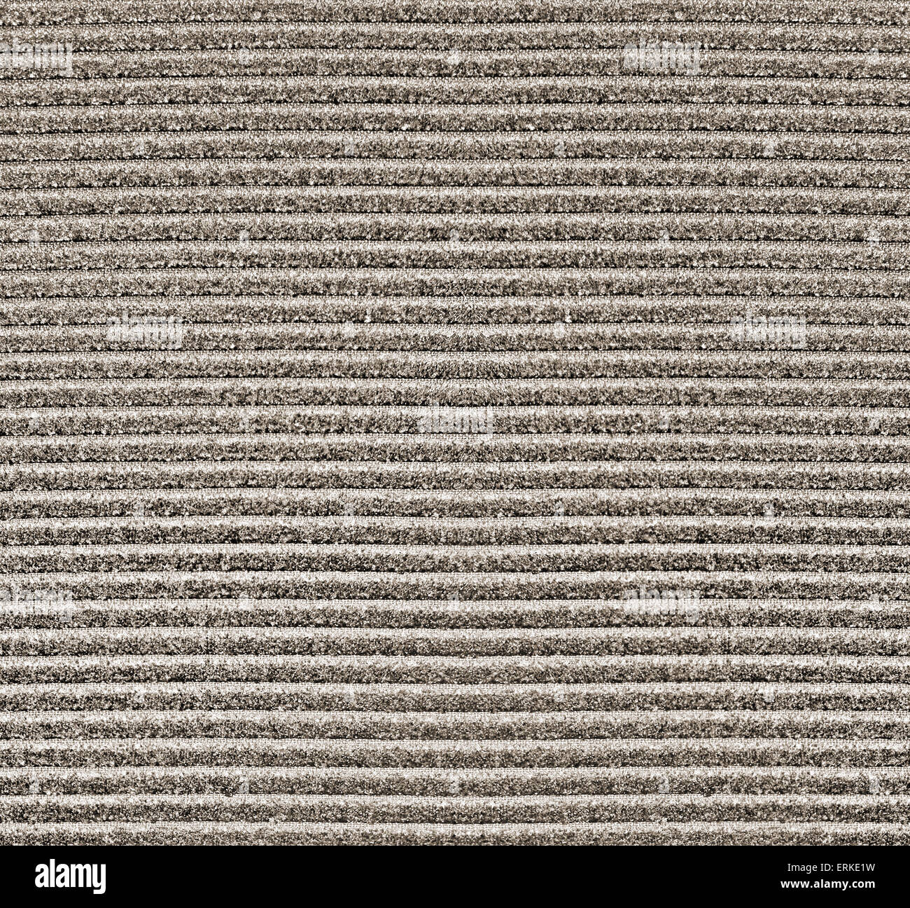 Texture of velor hi-res stock photography and images - Alamy