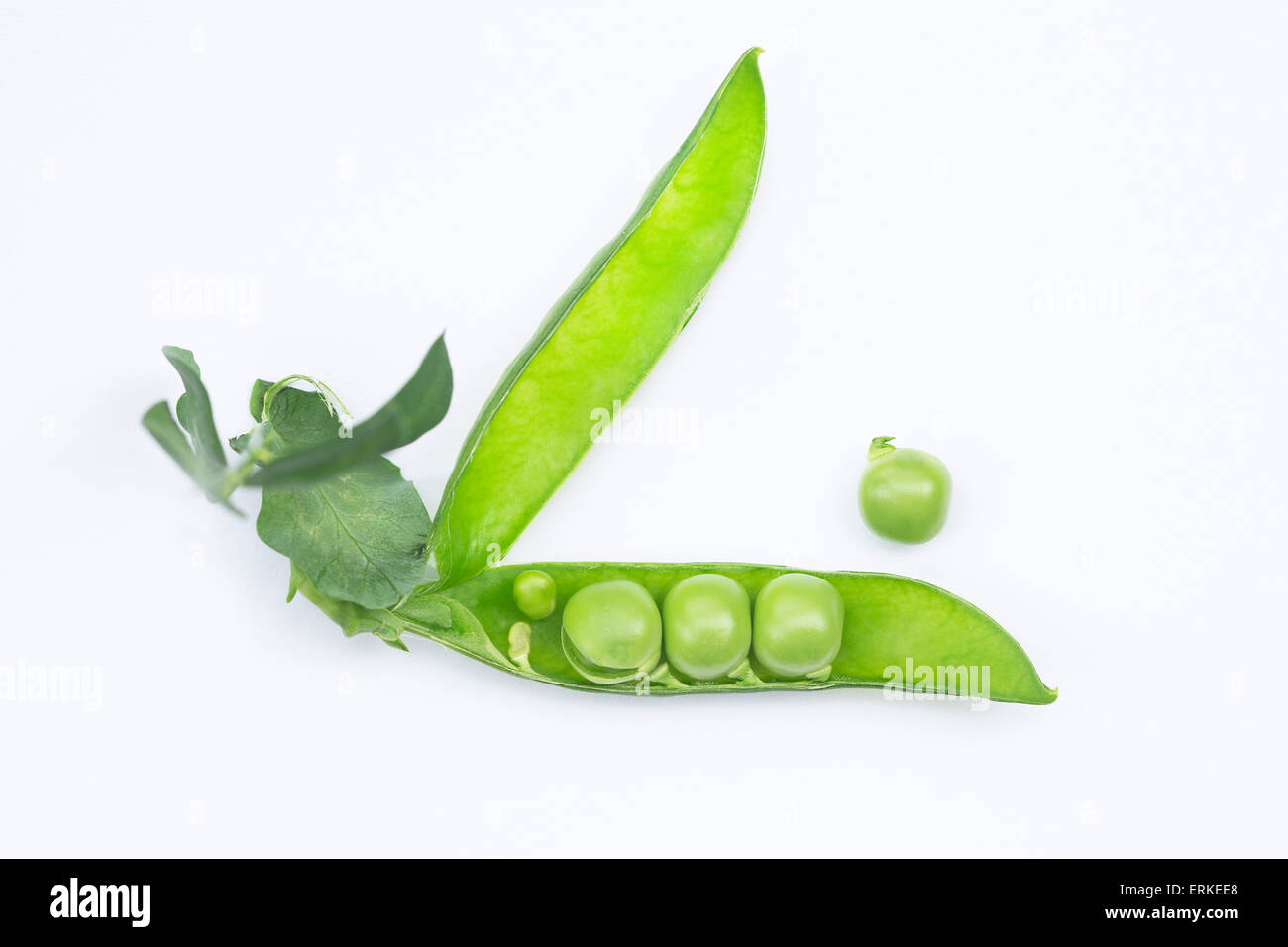 Fresh green peas (Pisum sativum Stock Photo - Alamy