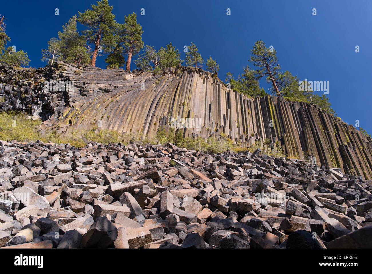 Devils Postpile National Monument, basalt columns, with pine trees ...