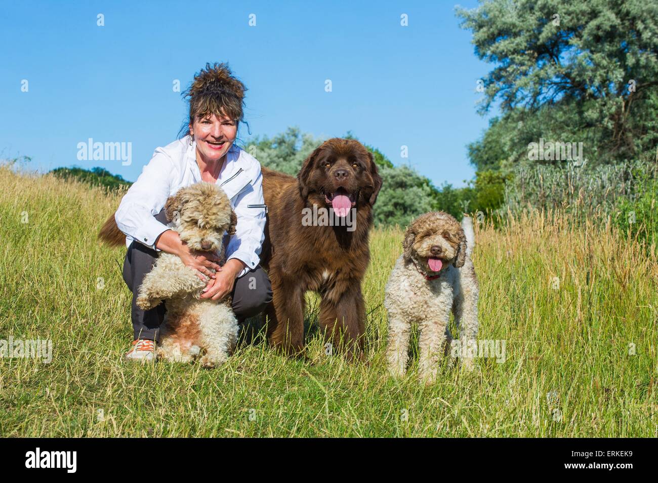 woman and 3 dogs Stock Photo - Alamy
