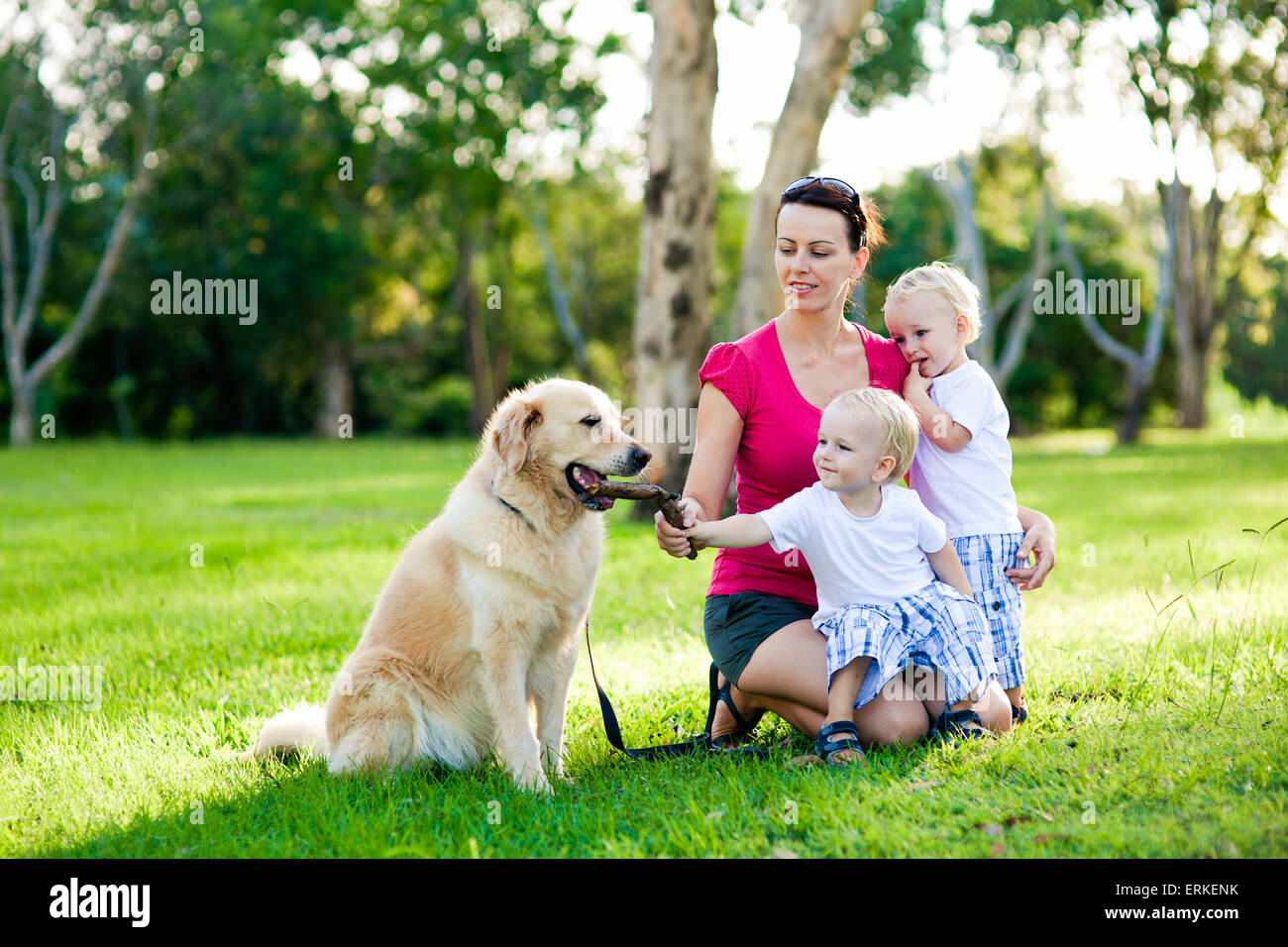 Mother and her two sons in the park with a golden retriever dog Stock ...