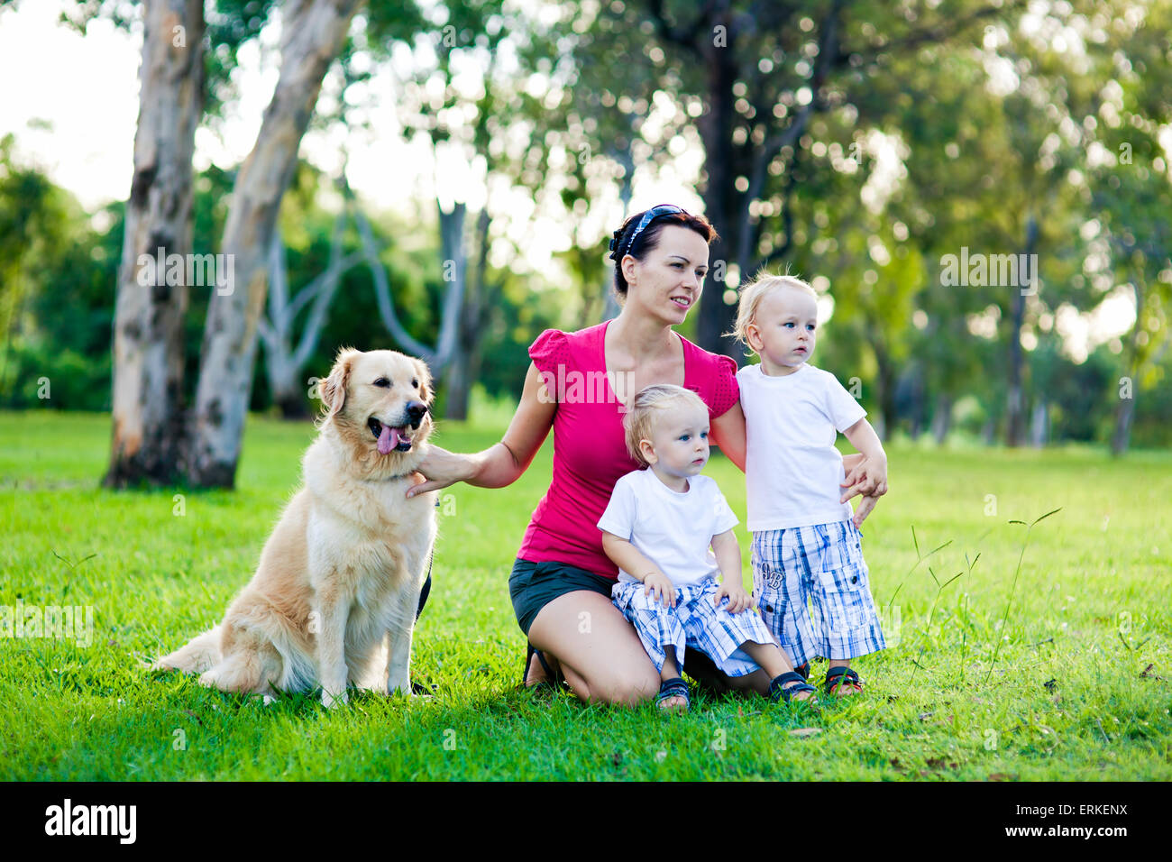 Mother and her two sons in the park with a golden retriever dog Stock ...