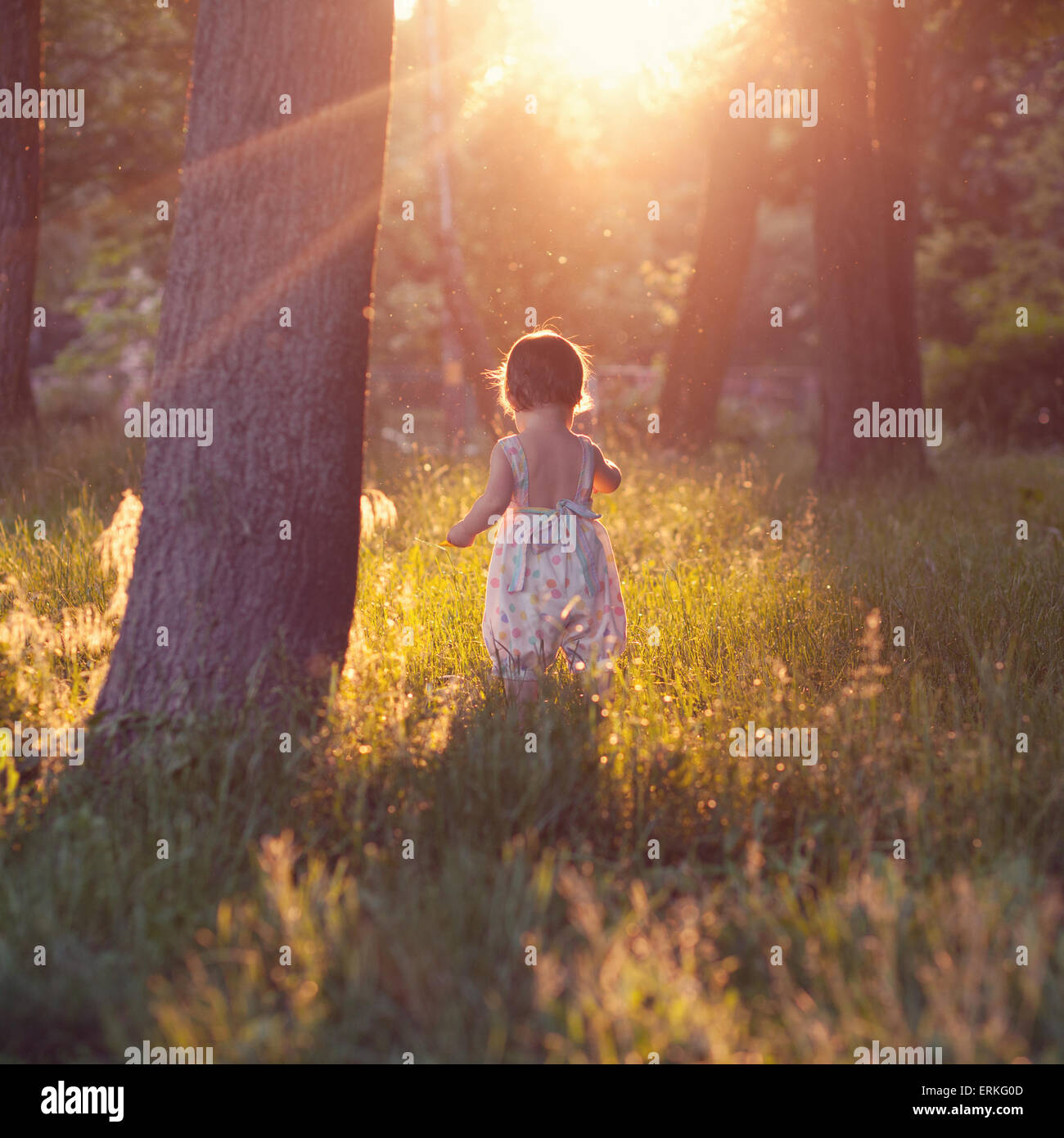 Walking baby in sunset lights Stock Photo - Alamy
