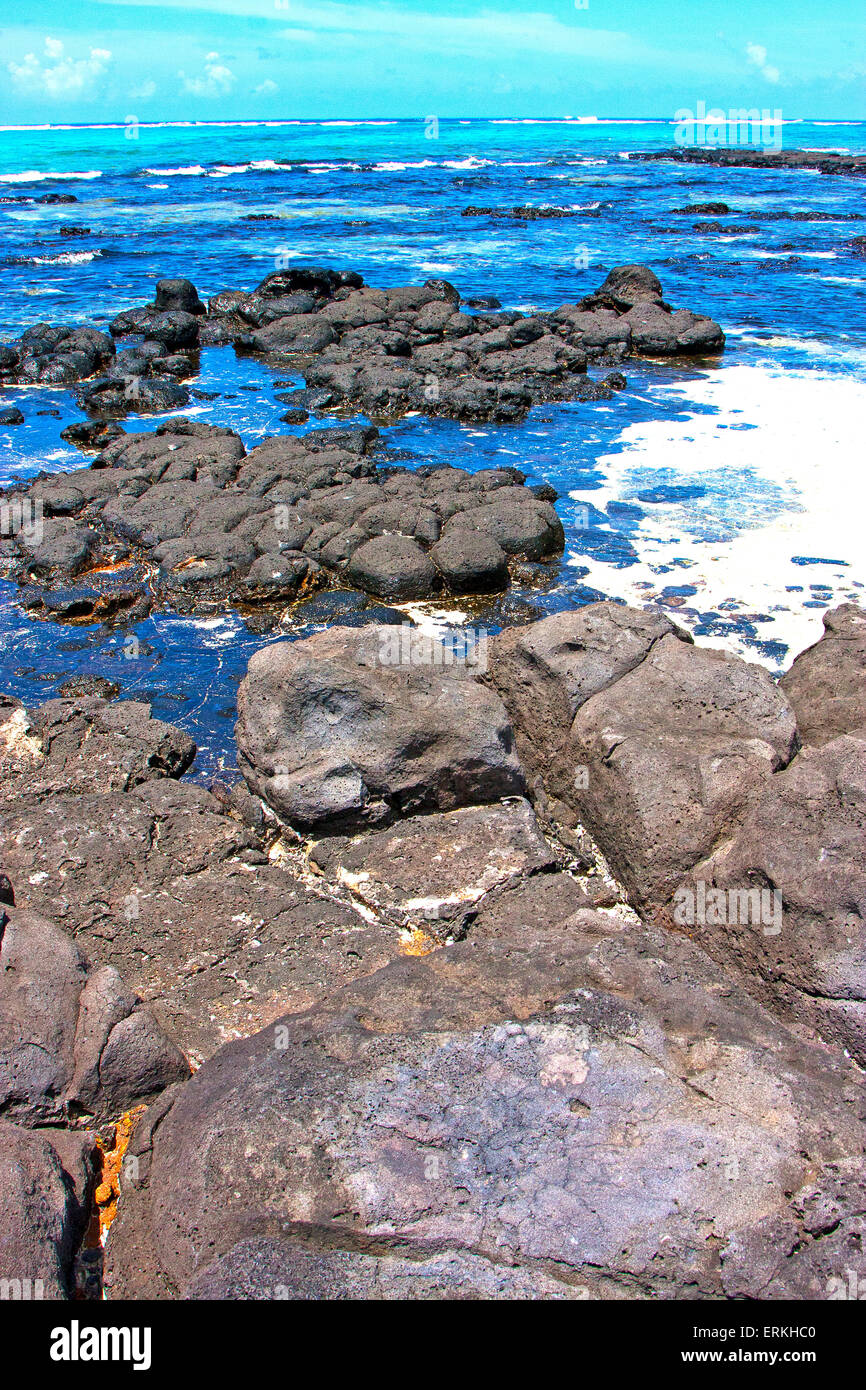 the zanzibar beach seaweed in indian ocean tanzania sand isle sky and ...