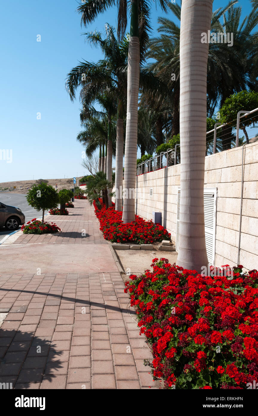 tree equipment drop plants irrigation water wet summer green color ...