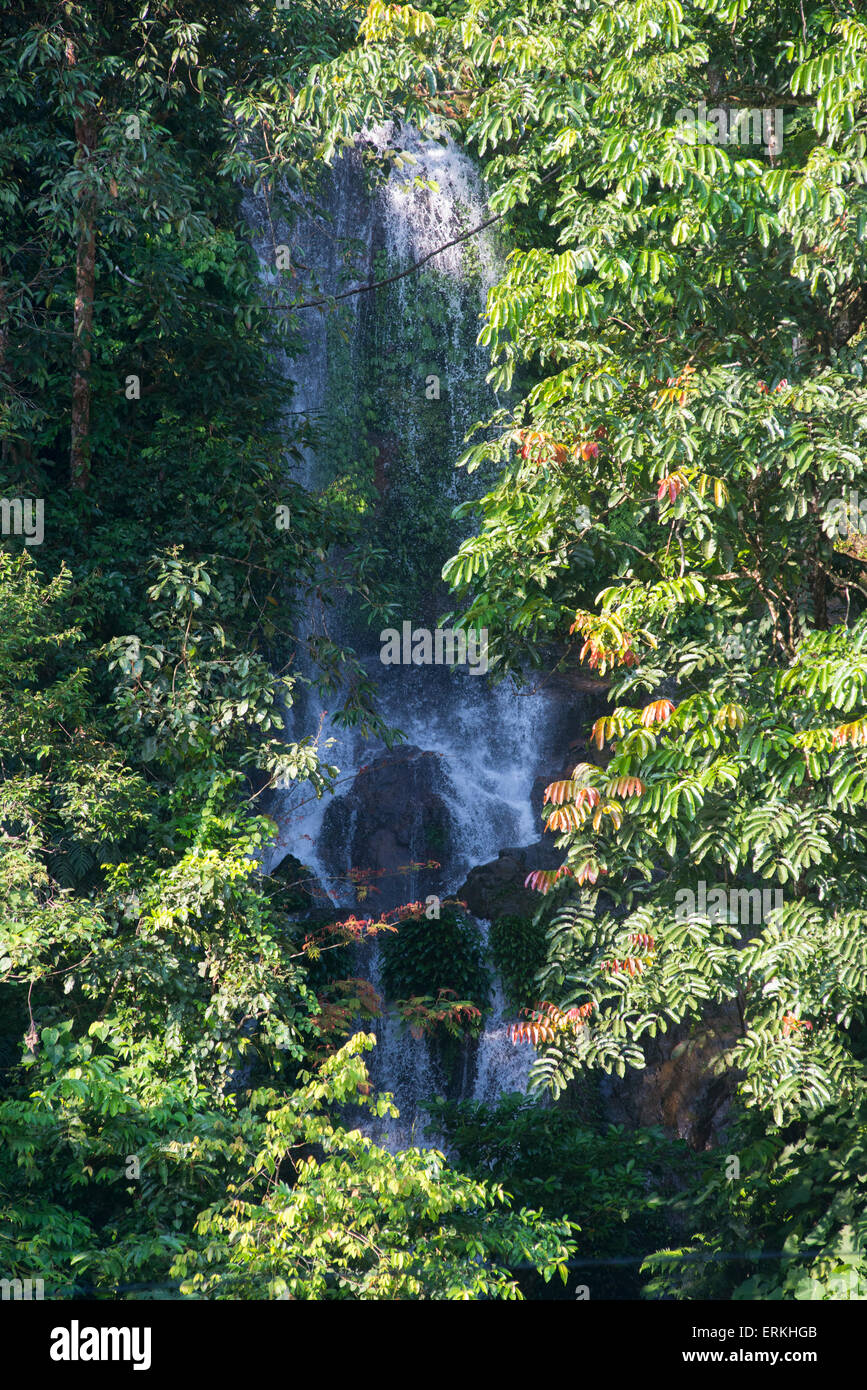 Waterfall at Gunung Leuser National Park, northern Sumatra, Indonesia ...