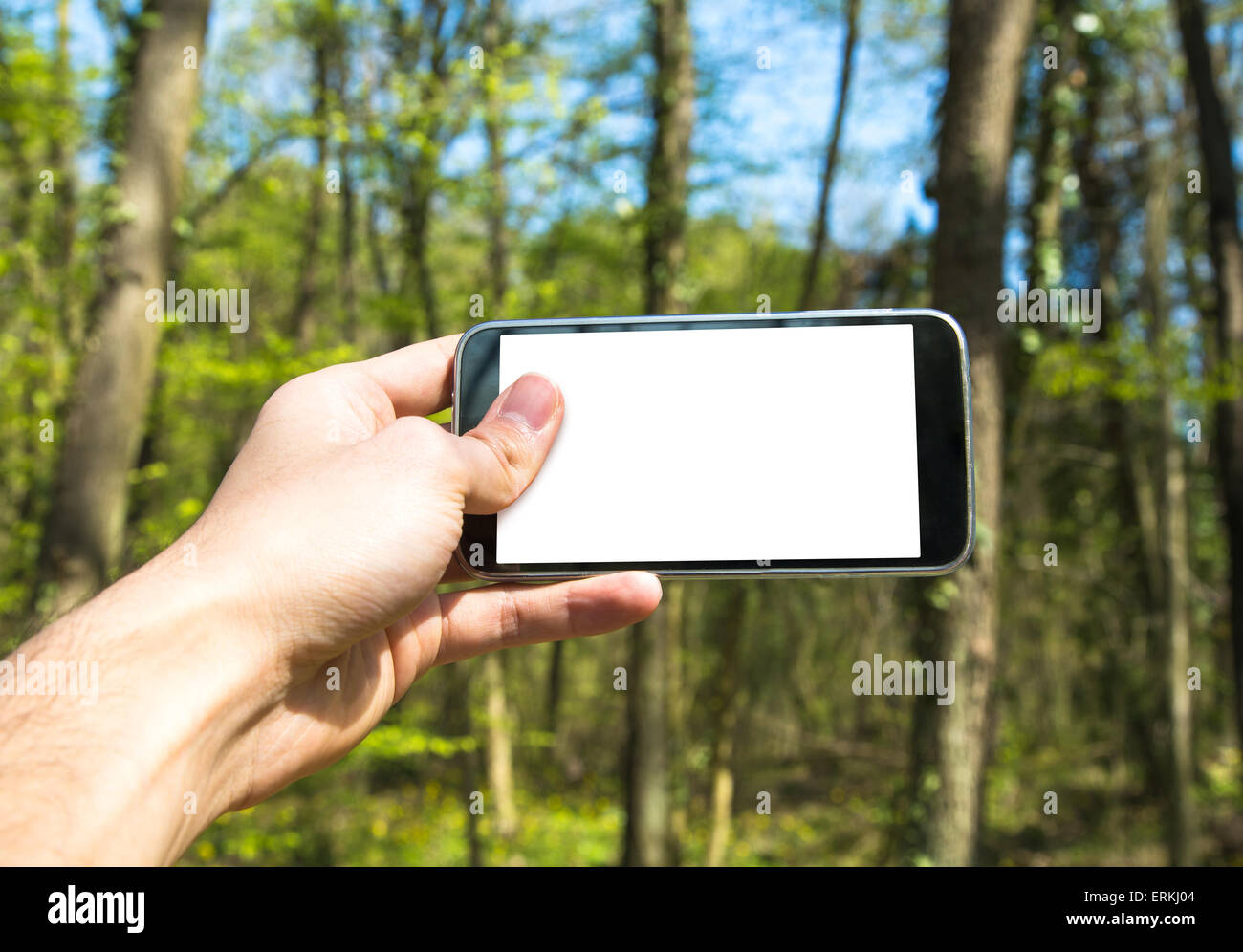 Front view of hand holding horizontal black smartphone with white blank ...